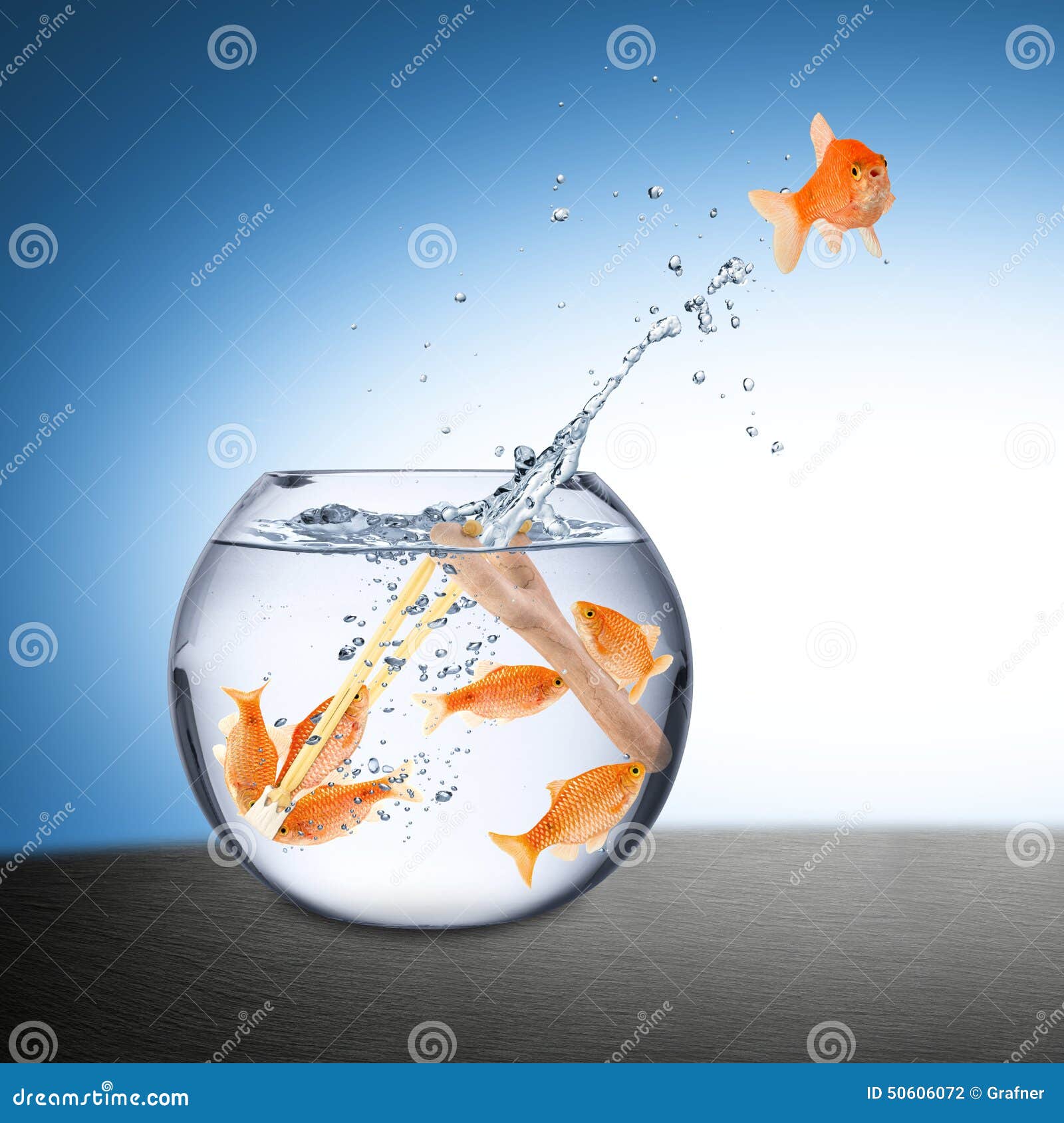 Fish escape concept stock photo. Image of fishtank, employees - 50606072