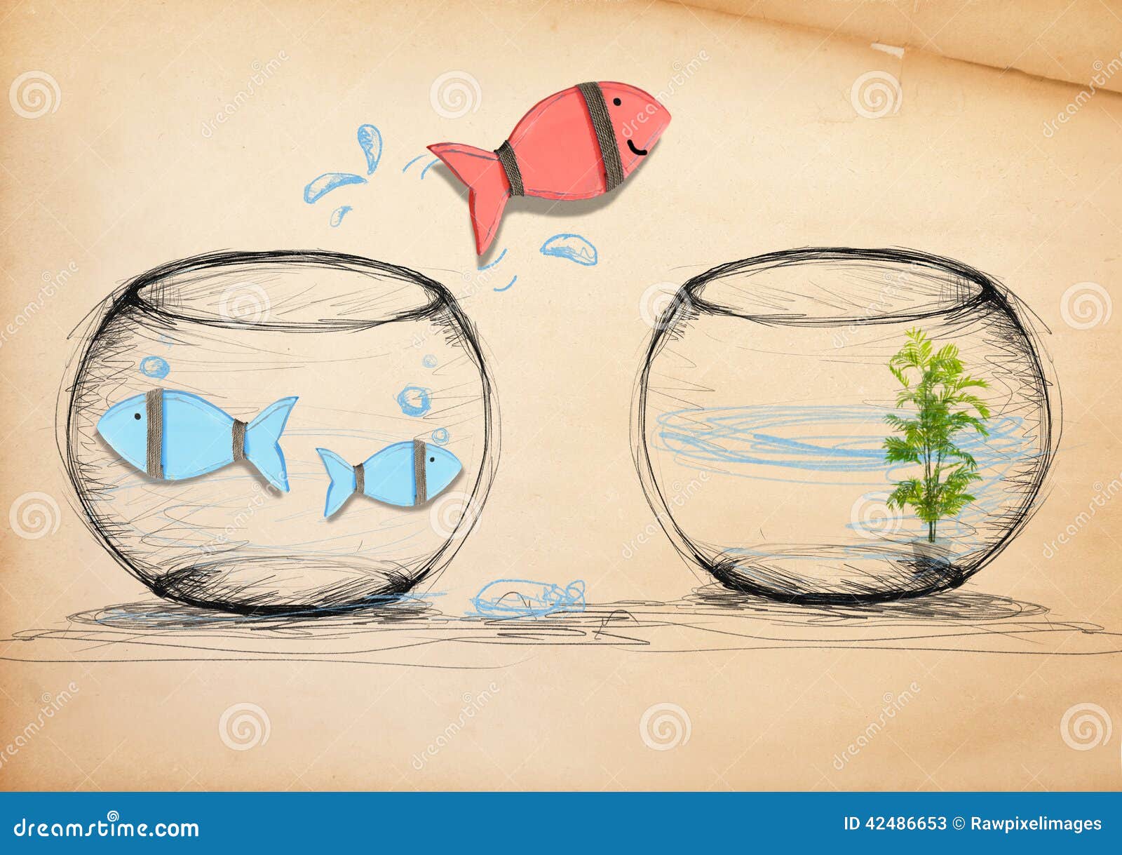 Fish Escaping To New Fishbowl Royalty-Free Stock Photography ...