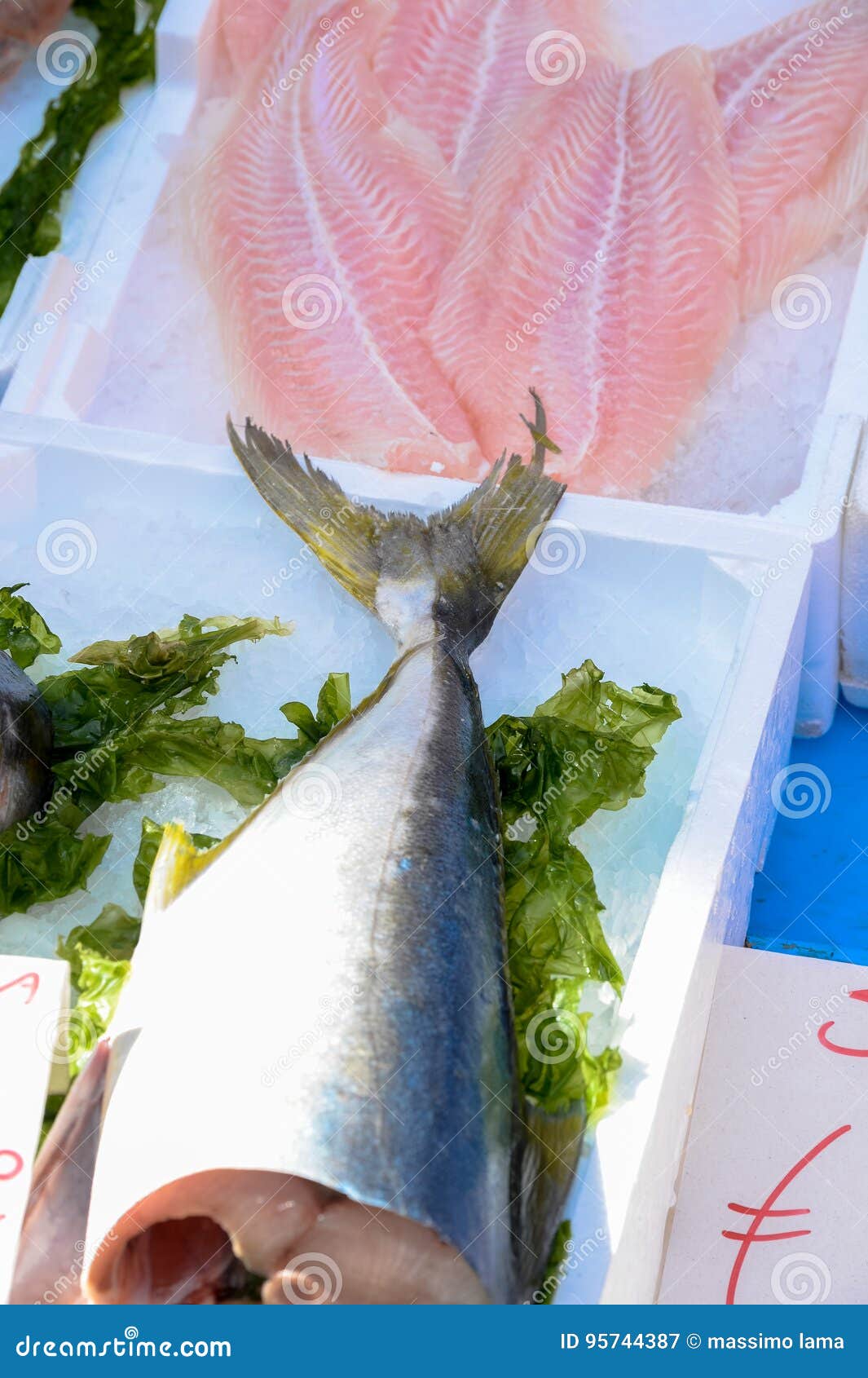 Fish exposed in market stock image. Image of appetizer - 95744387