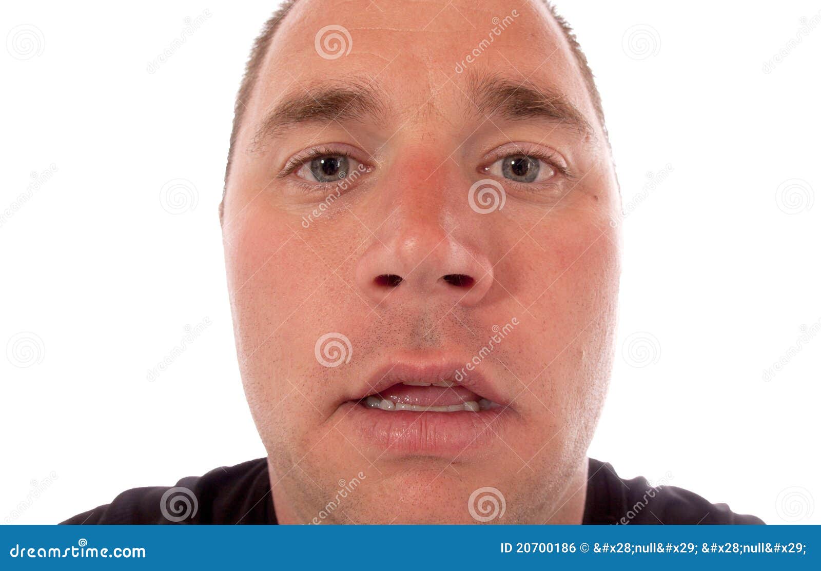Fish Eye Close Up stock photo. Image of crazy, caucasian - 20700186