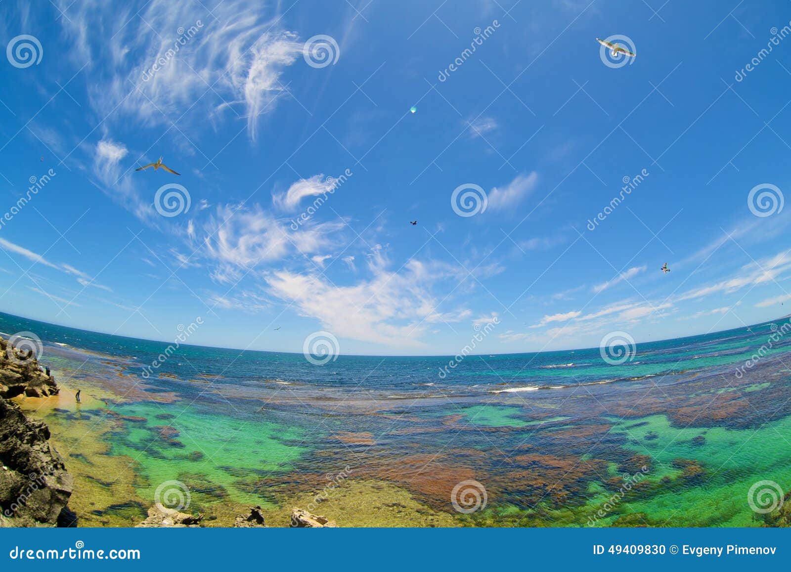 Fish-eye View on Tropical Beach and Ocean Stock Photo - Image of earth ...