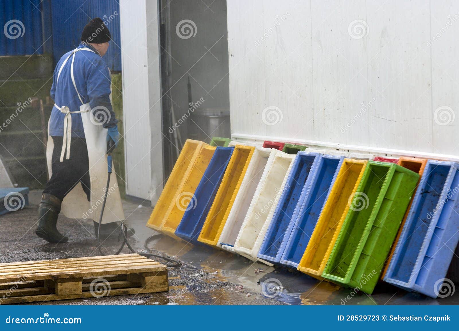 Fish Factory Sorting Packaging Frozen Fish Containers. Frozen Fish In ...