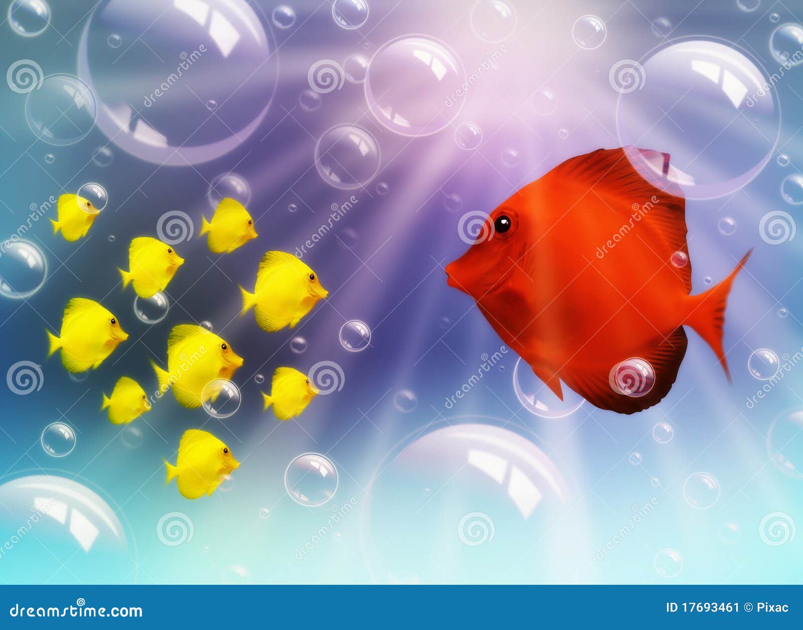 Fish Family stock illustration. Illustration of oxygen - 17693461