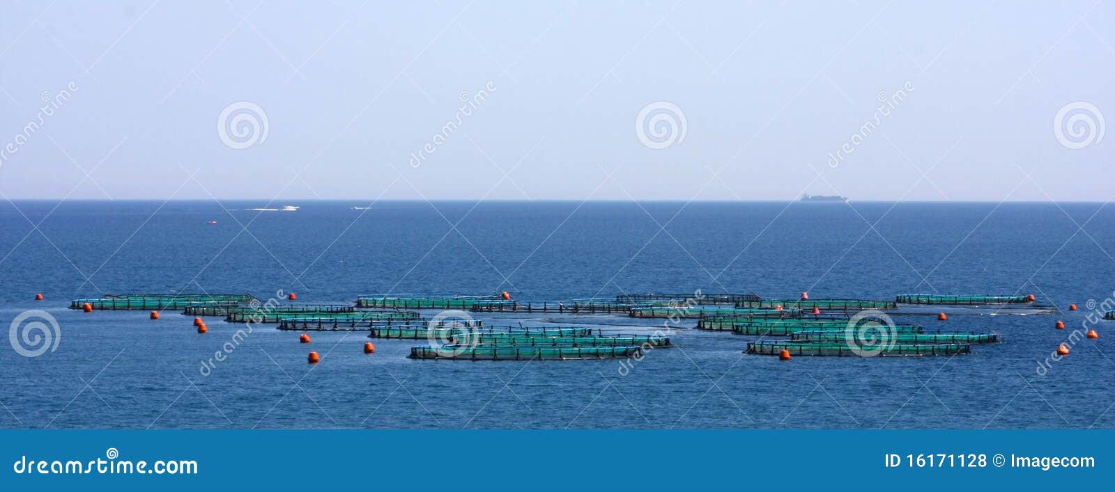 Fish Farm stock photo. Image of blue, farming, hatchery - 16171128