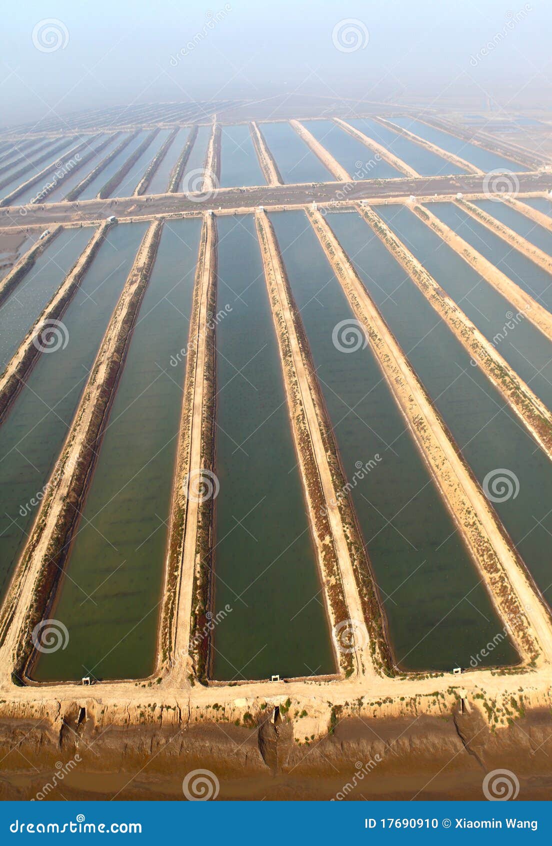 Fish farm stock photo. Image of seafood, fisheries, aquatic - 17690910