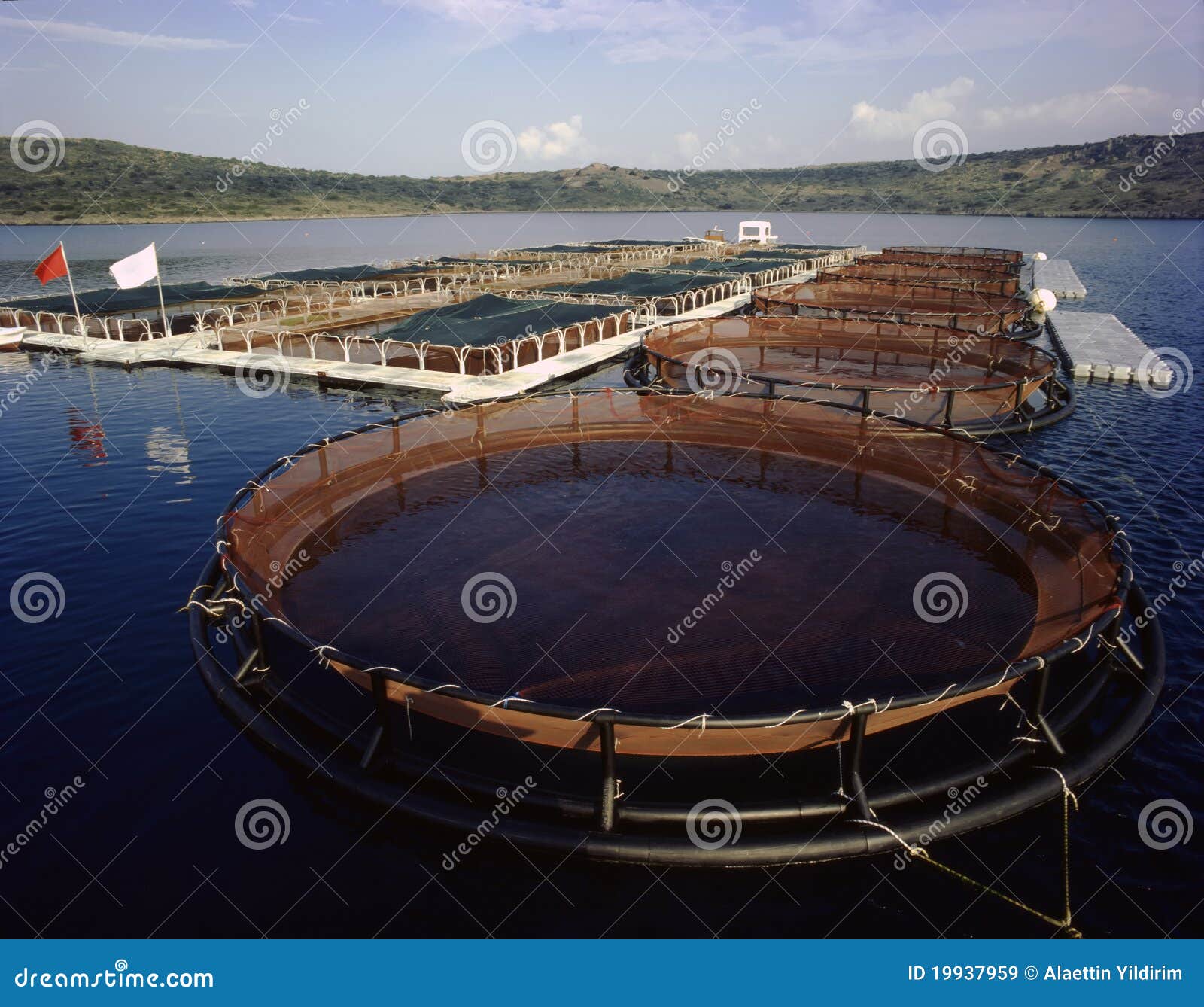 Fish farm stock image. Image of fishing, ethnicity, group - 19937959