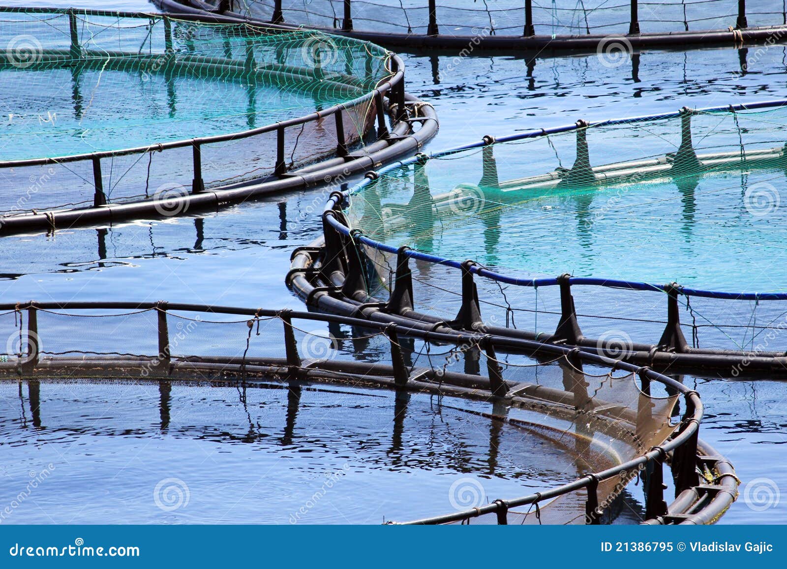 Fish farm stock image. Image of fish, greece, fresh, farming - 21386795