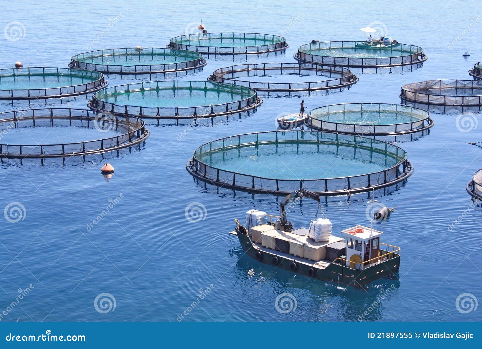 Fish farm stock image. Image of aquatic, plant, commercial - 21897555