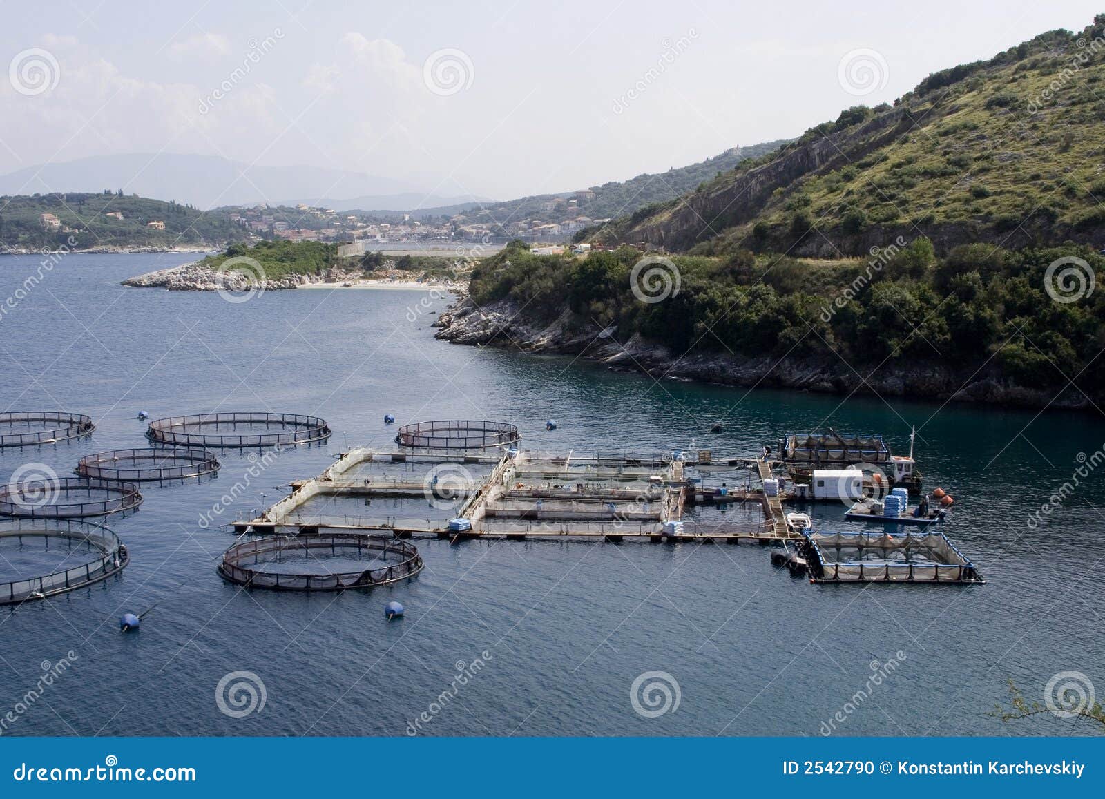 Fish farm stock photo. Image of seascape, clams, ichthyology - 2542790