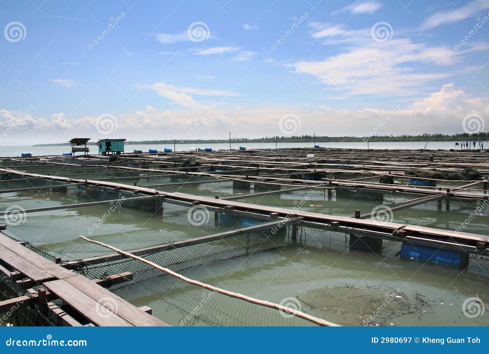 Fish Farm In Montenegro. The Farm For Breeding And Fish Farming Stock ...
