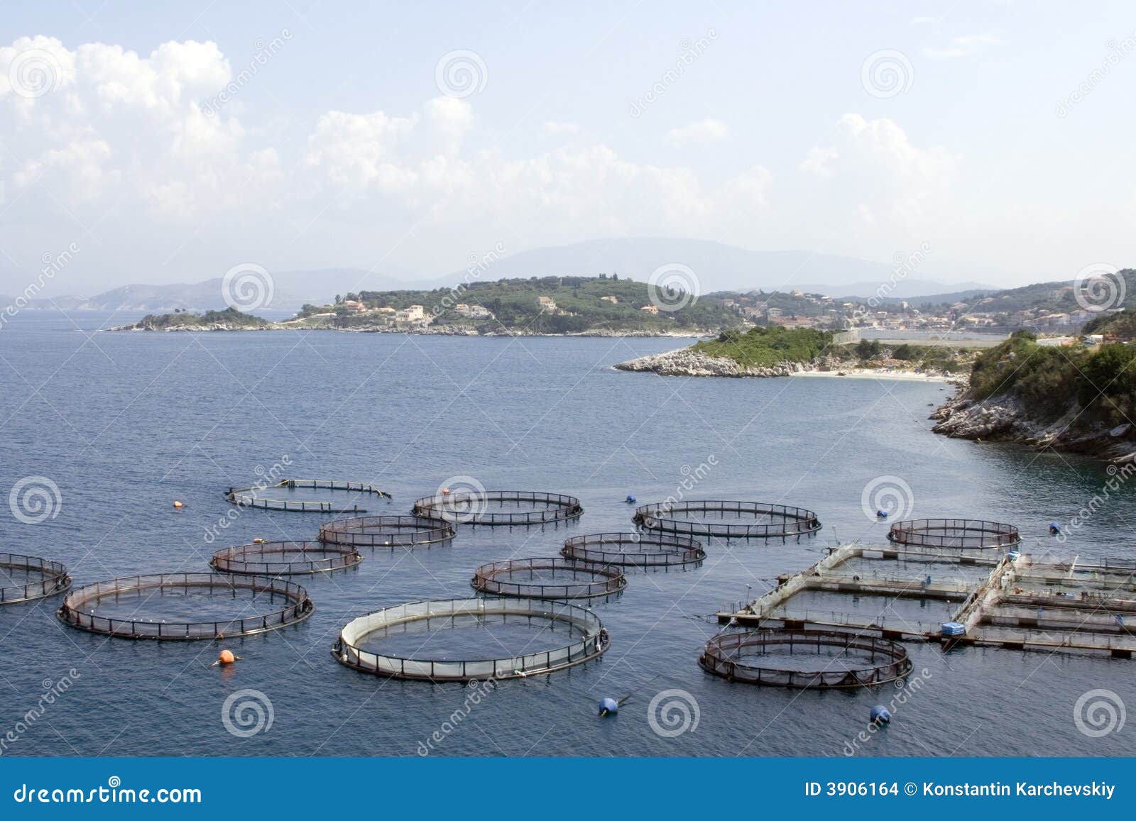 Fish farm stock photo. Image of bivalve, environment, greece - 3906164