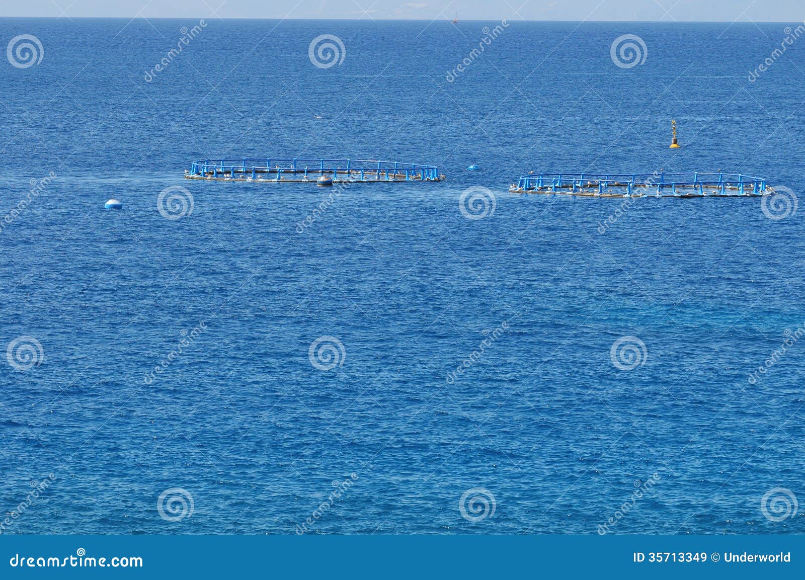 Fish Farm in the Atlantic Ocean Stock Image - Image of food, greece ...