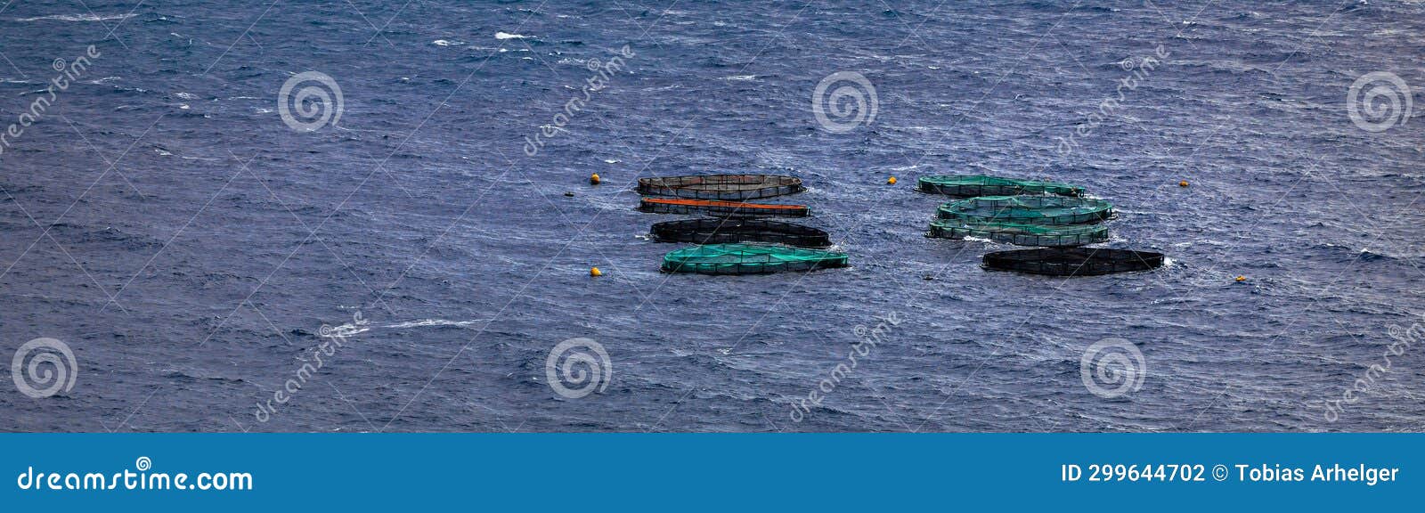 Fish Farm in the Atlantic Ocean Panorama Stock Photo - Image of video ...