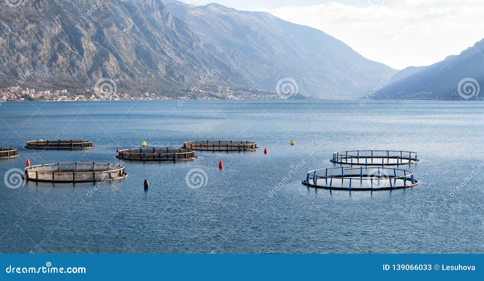 Fish farm stock image. Image of nature, horizontal, coast - 139066033