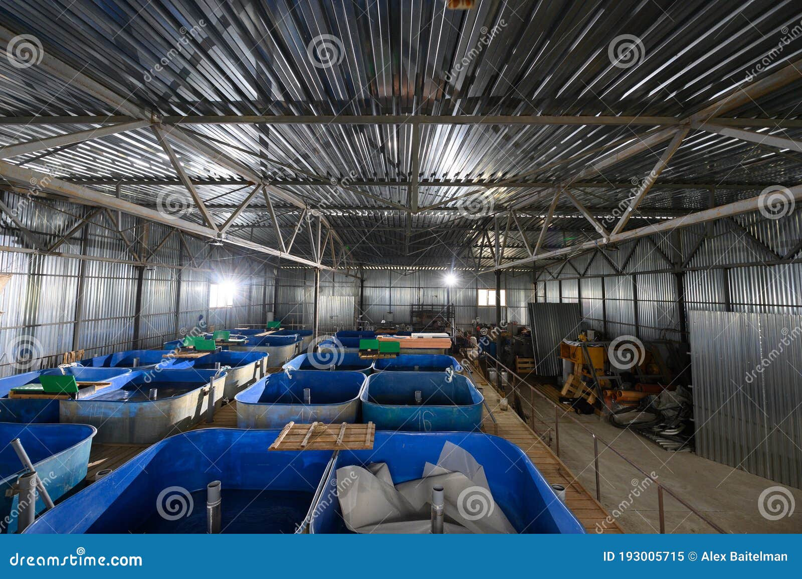 Fish Farm for Breeding Sturgeon.Pool for Breeding Sturgeon Fish Stock ...