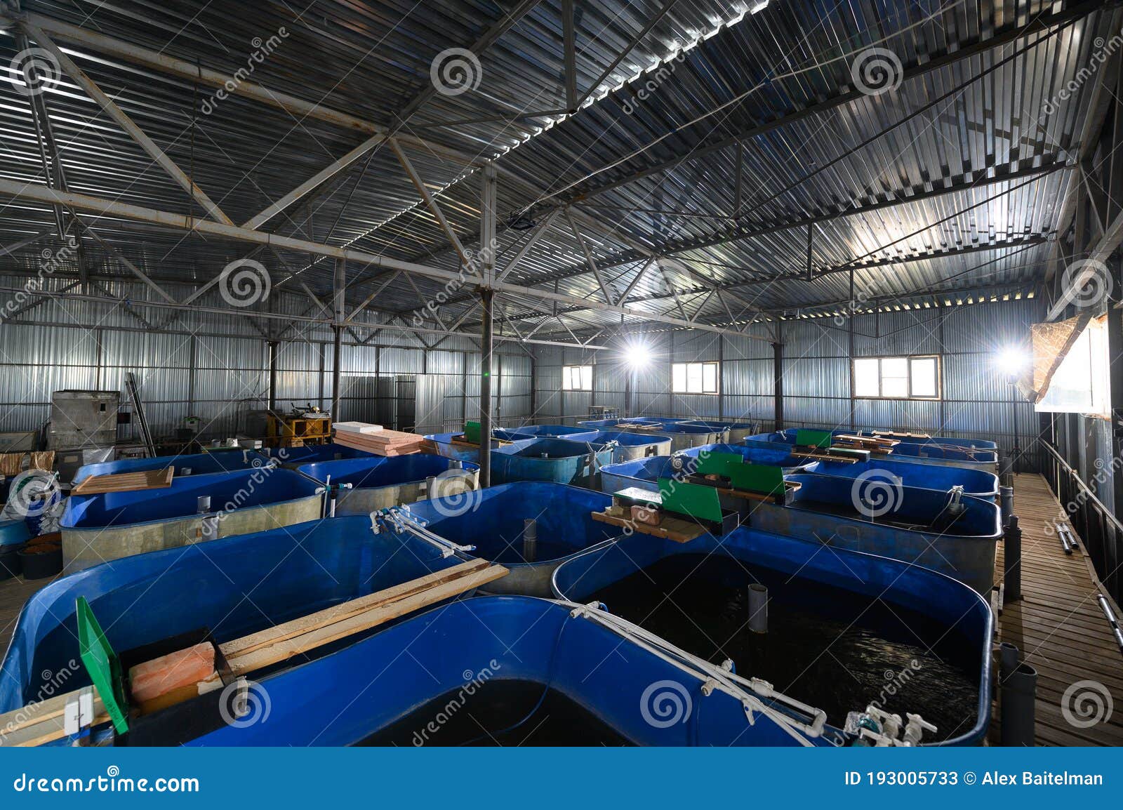 Fish Farm for Breeding Sturgeon.Pool for Breeding Sturgeon Fish Stock ...