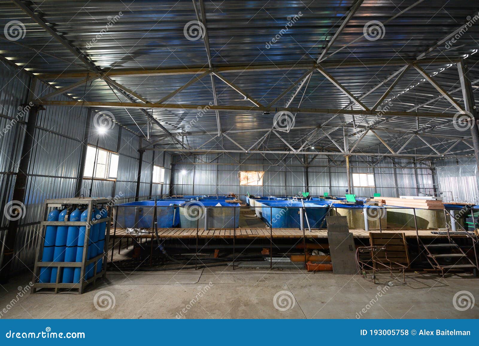 Fish Farm for Breeding Sturgeon.Pool for Breeding Sturgeon Fish Stock ...