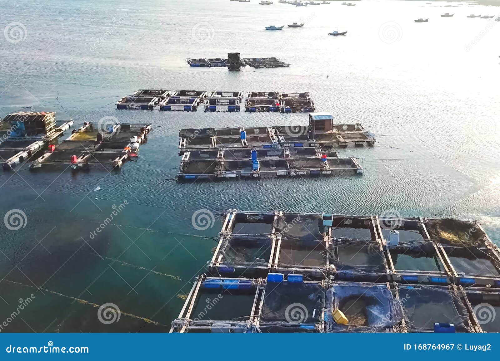 Fish Farm in Coastal Waters. Rectangular Cages Stock Image - Image of ...