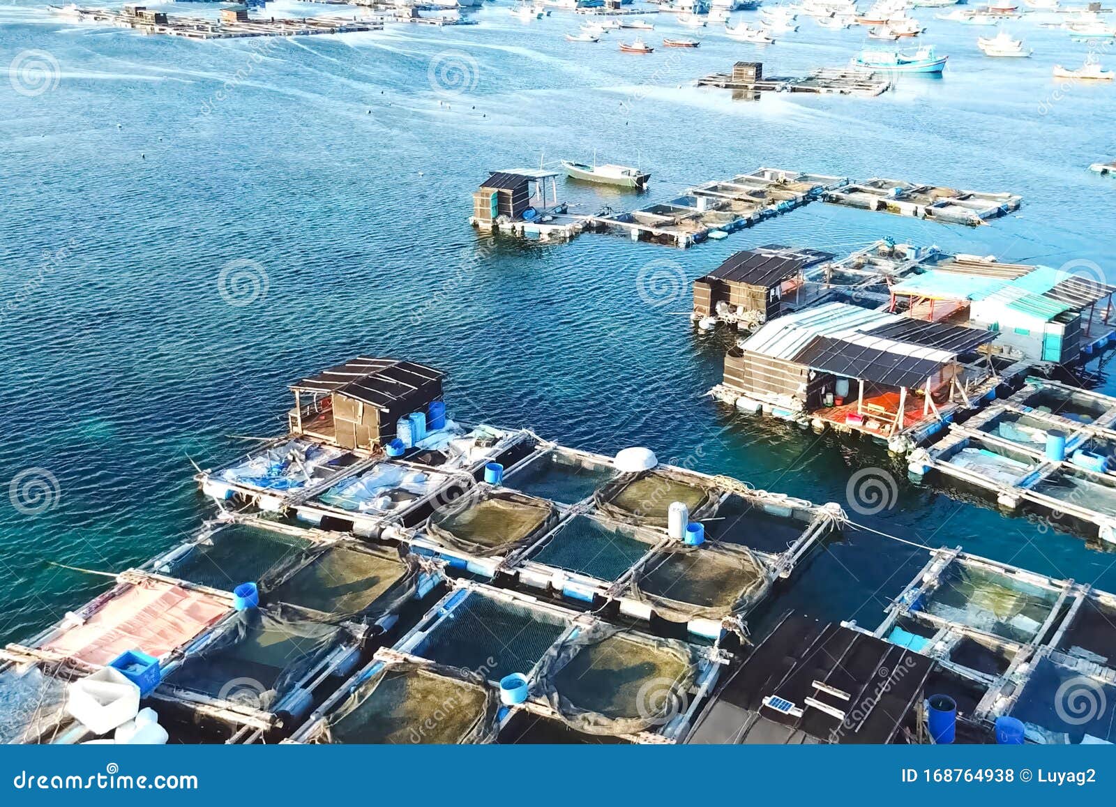 Fish Farm in Coastal Waters. Rectangular Cages Stock Photo - Image of ...