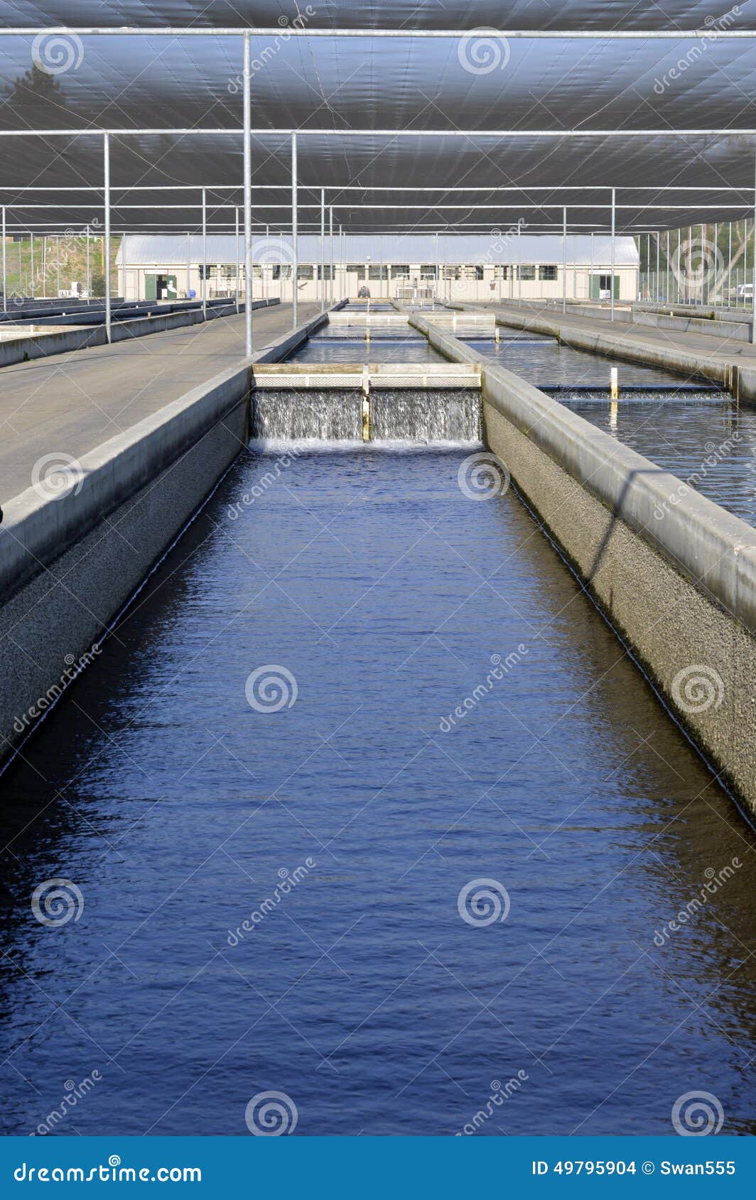 Fish farm. stock photo. Image of catch, farming, freshwater - 49795904