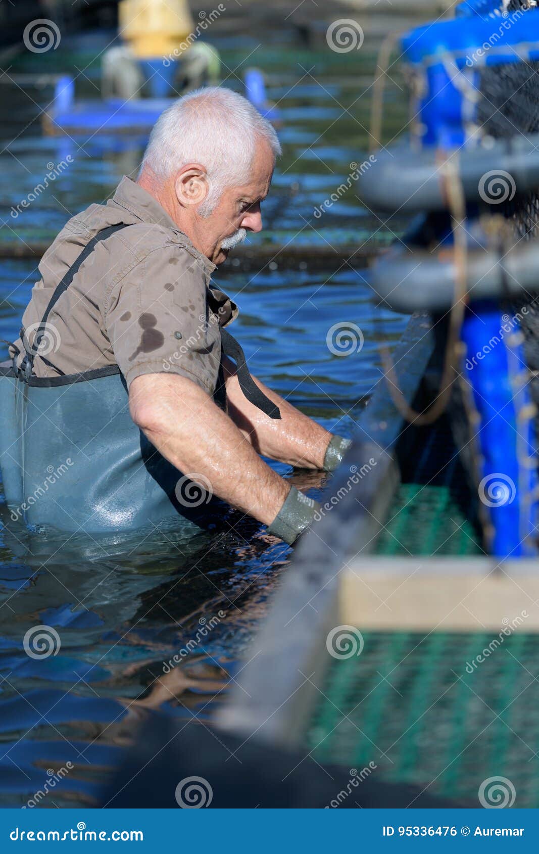 Fish Farm Employee at Dusk Career Stock Photo - Image of carp, hair ...
