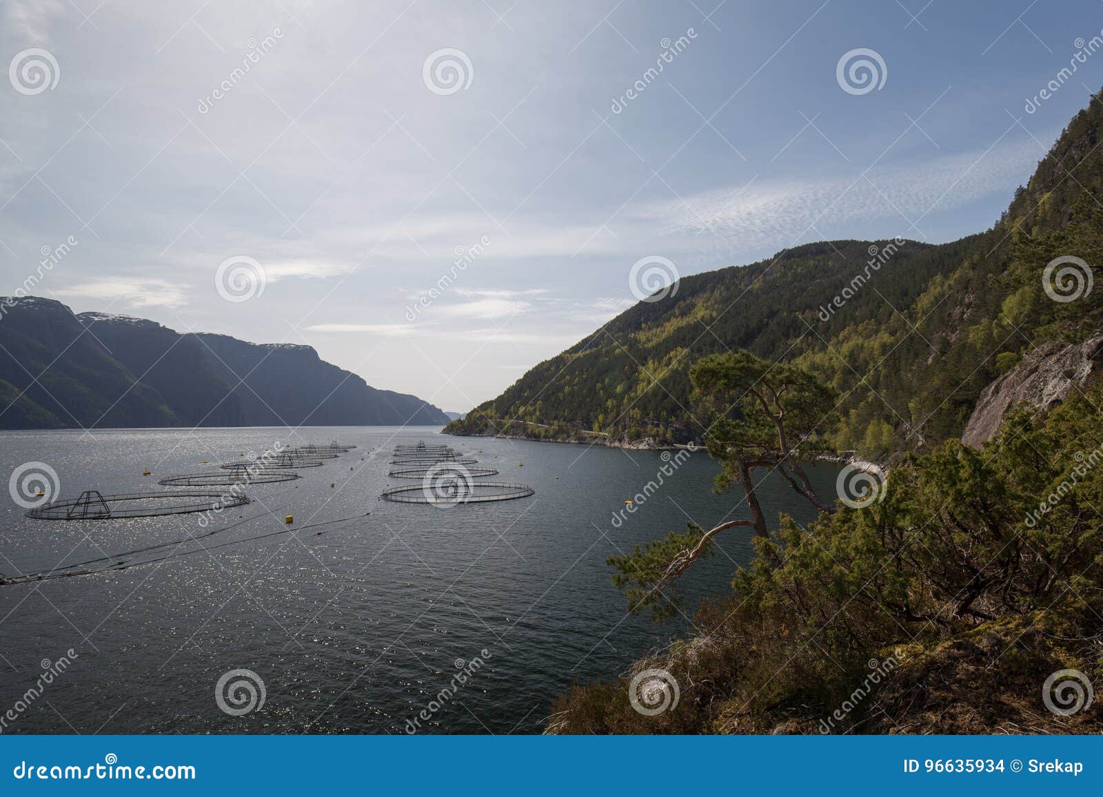 Fish farm on a fjord stock photo. Image of coast, marine - 96635934