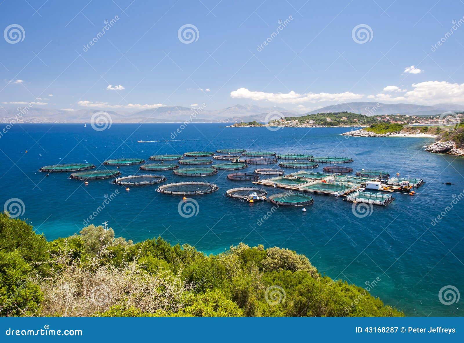 Corfu Fish Farming Stock Photos - Free & Royalty-Free Stock Photos from ...