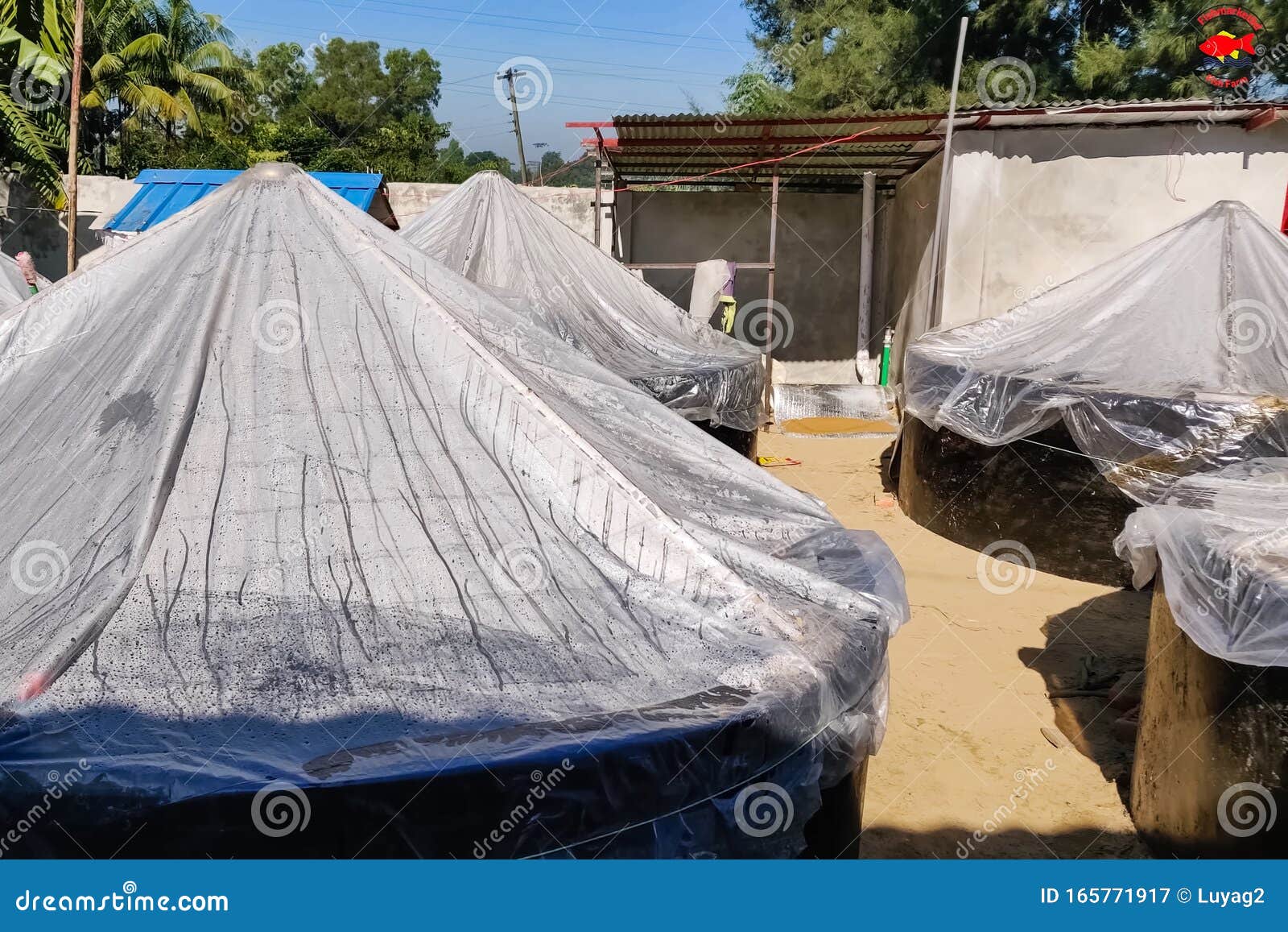 Fish Farm Inside. Containers with Water and Fish Stock Image - Image of ...