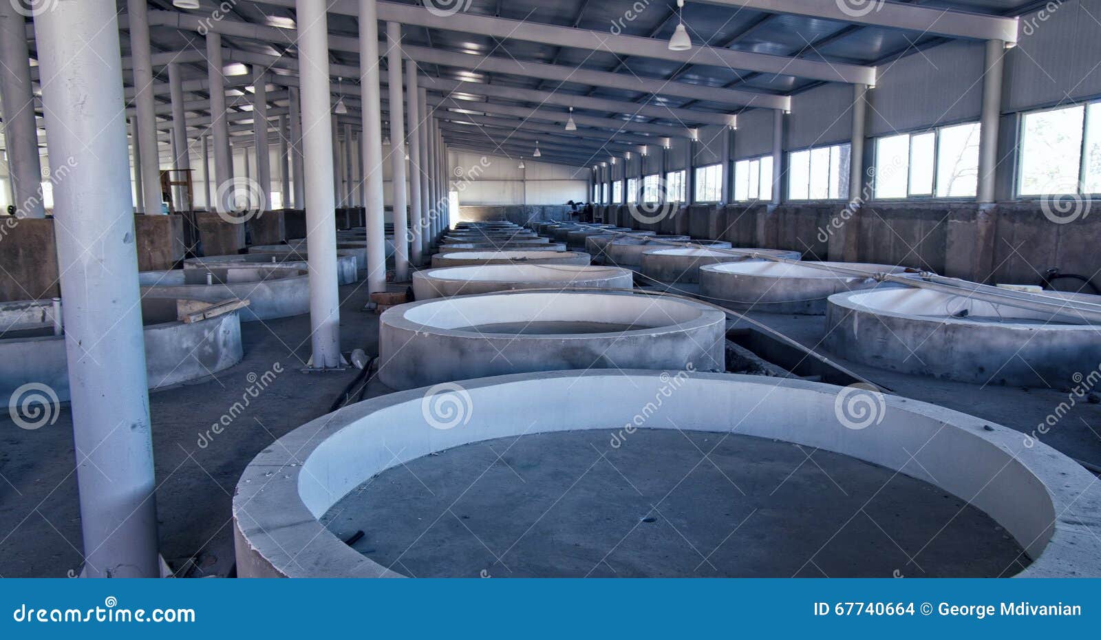 Empty Tanks Propane Oxygen Nitrogen Chemical Gas Bottles Stock Photo ...