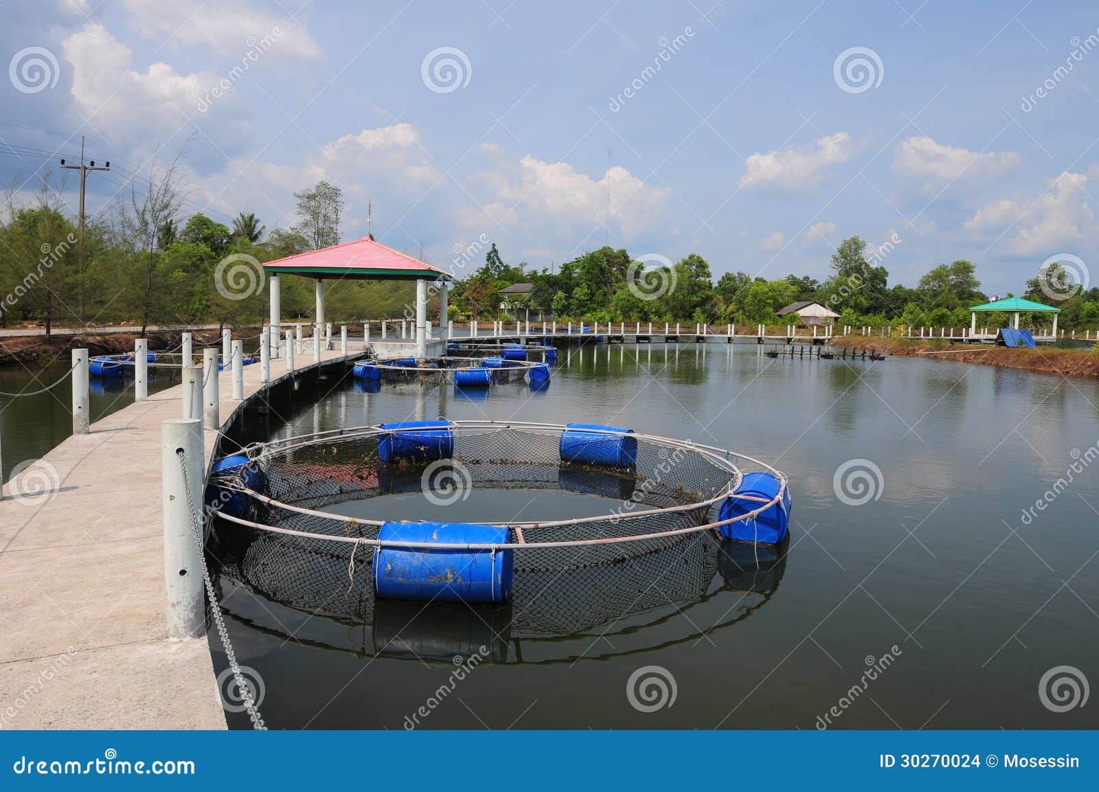 Fish farm net stock photo. Image of outdoor, pond, mesh - 30270024