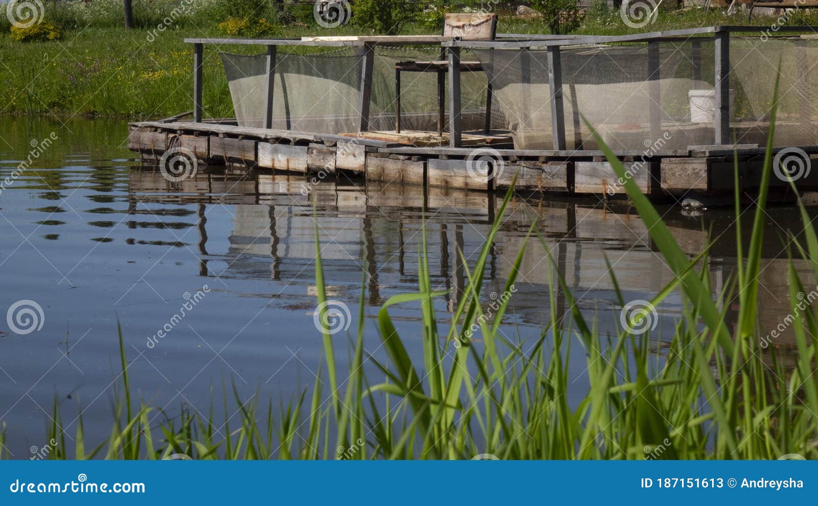 Fish Farm in the Pond. Aquaculture in the Open Air Stock Image - Image ...