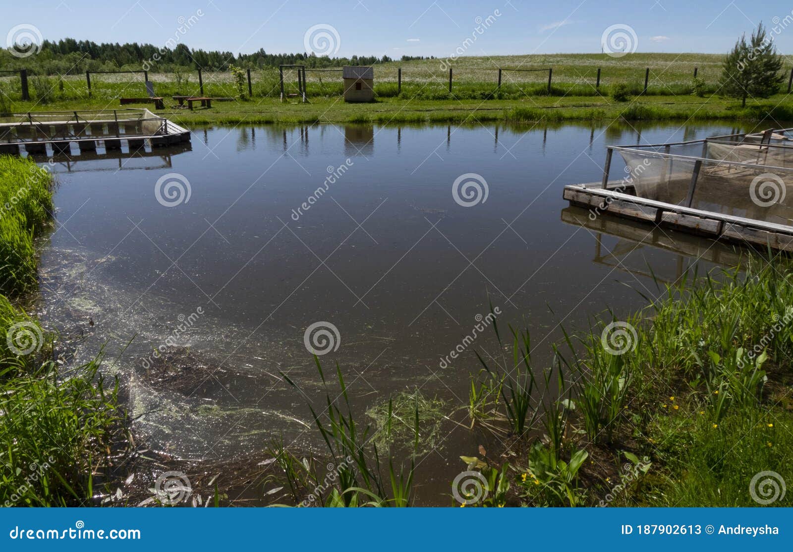 Fish Farm in the Pond. Aquaculture in the Open Air. Stock Image - Image ...