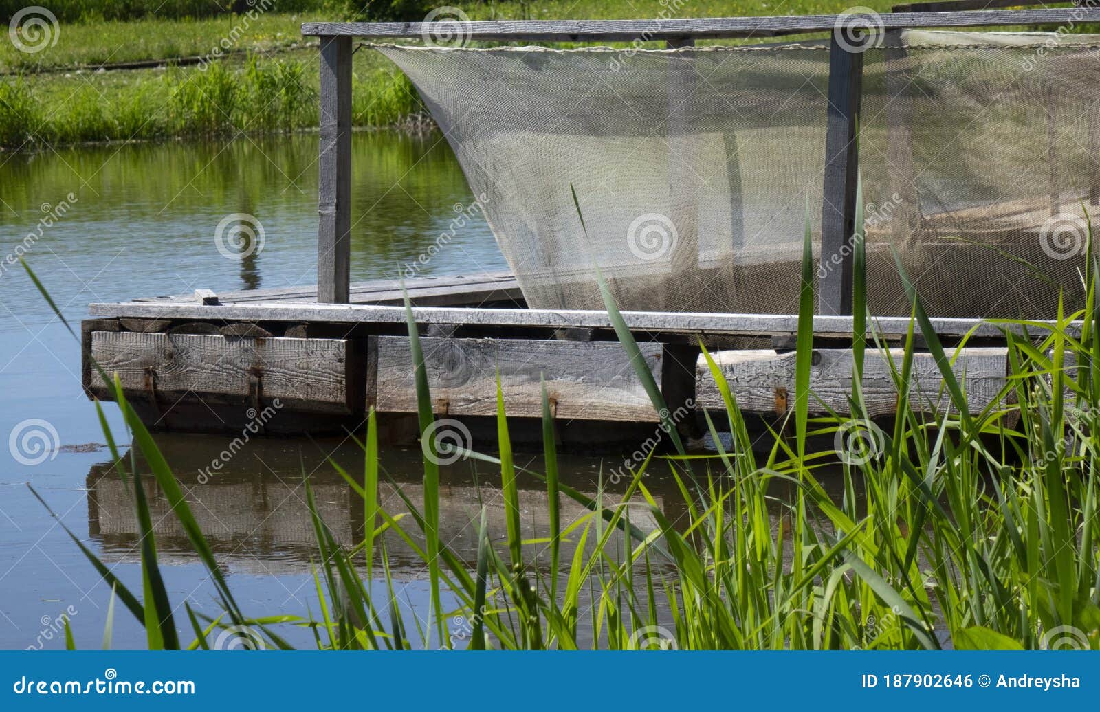 Fish Farm in the Pond. Aquaculture in the Open Air. Stock Photo - Image ...
