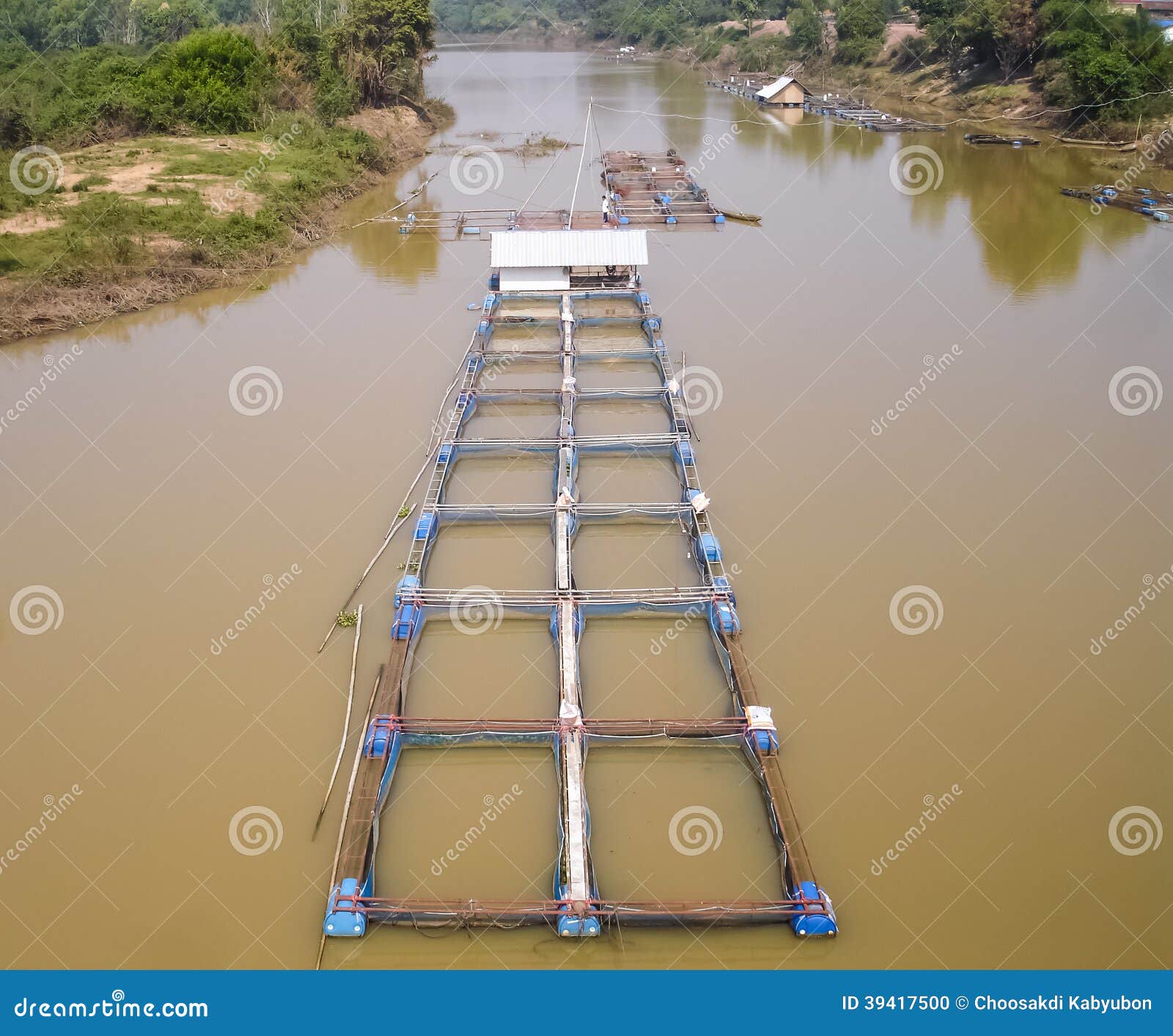 Fish farm stock photo. Image of fish, bamboo, daylight - 39417500
