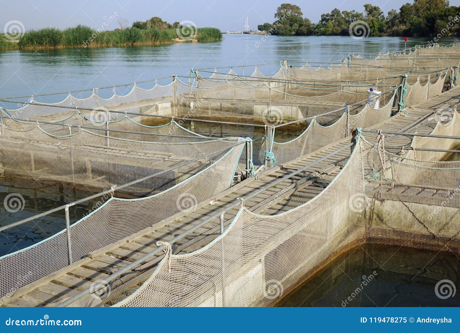 Fish farm on the river . stock image. Image of blue - 119478275