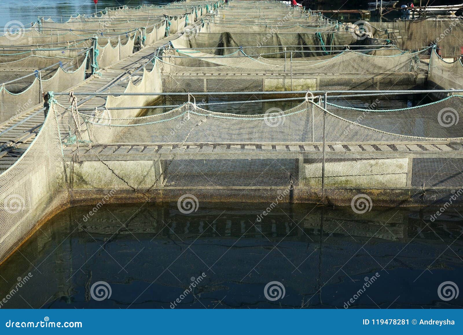 Fish farm on the river . stock image. Image of blue - 119478281