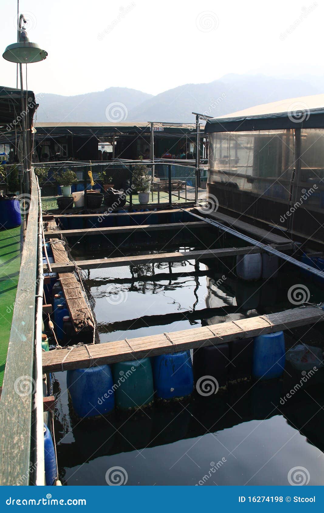 Fish farm on the sea stock photo. Image of fish, aquaculture - 16274198