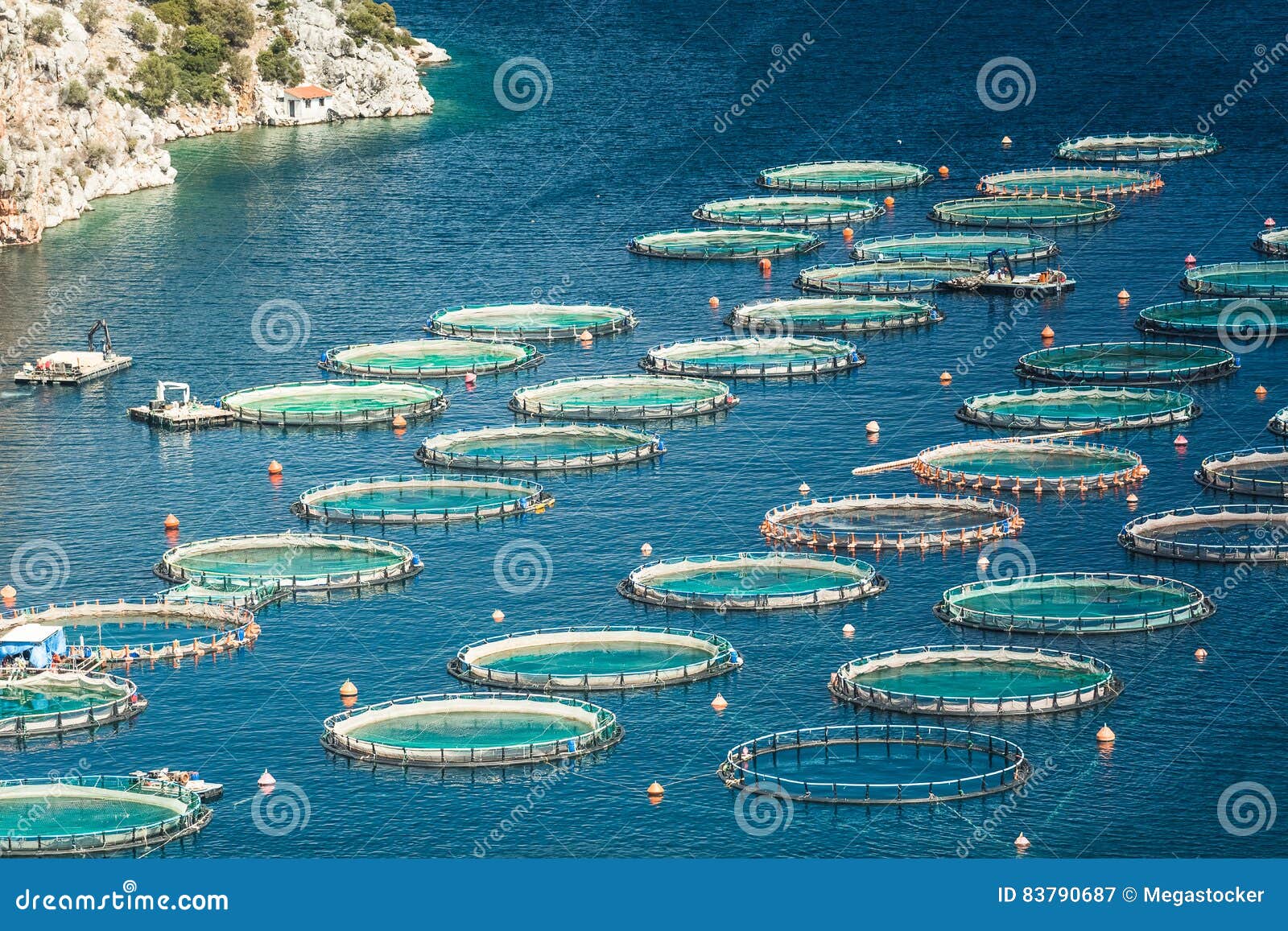 Fish farm in the sea stock image. Image of pool, water - 83790687