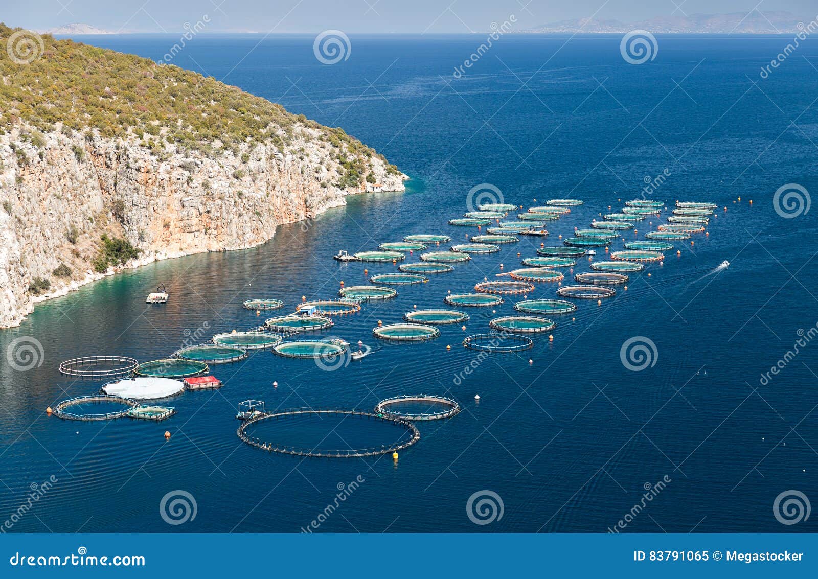 Fish farm in the sea stock image. Image of fresh, coast - 83791065