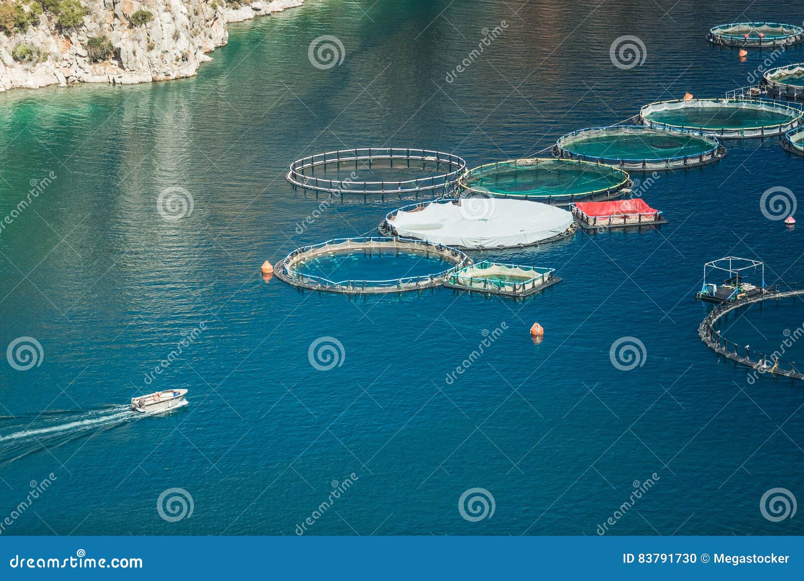 Fish farm in the sea stock photo. Image of commercial - 83791730