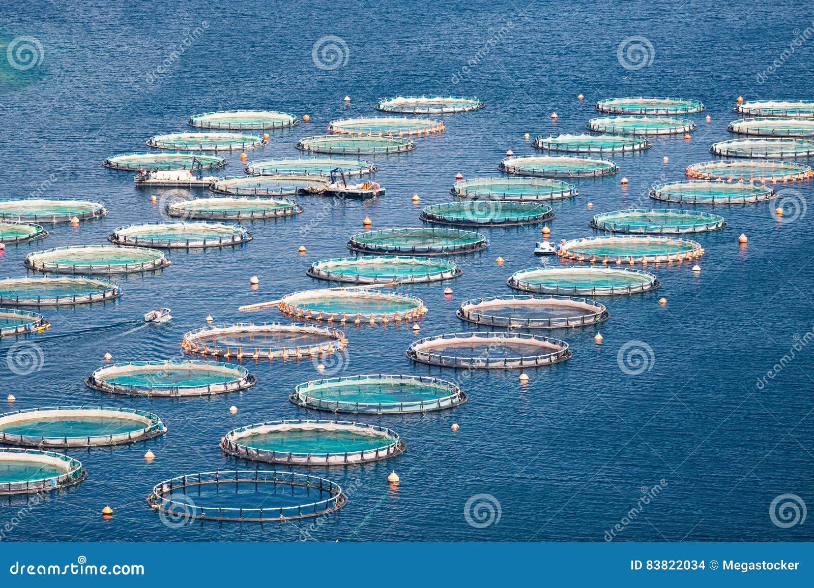 Fish farm in the sea stock photo. Image of aquaculture - 83822034