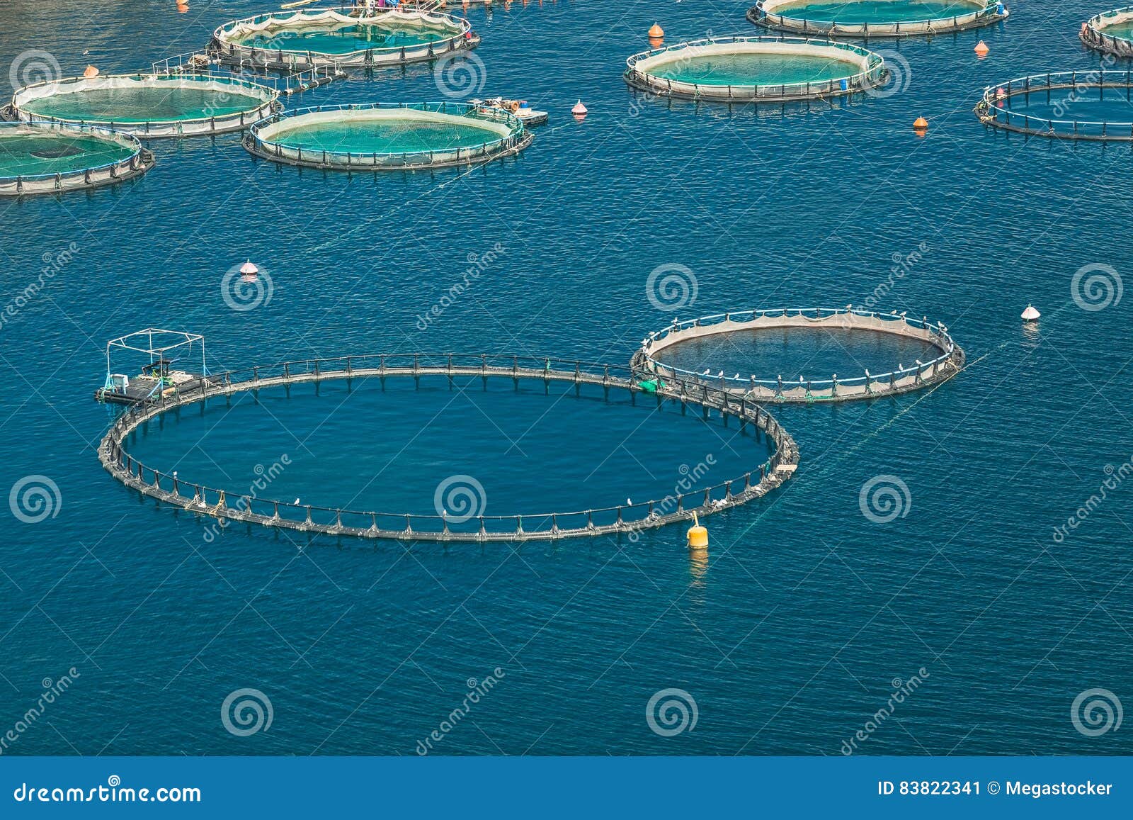 Fish farm in the sea stock image. Image of commercial - 83822341