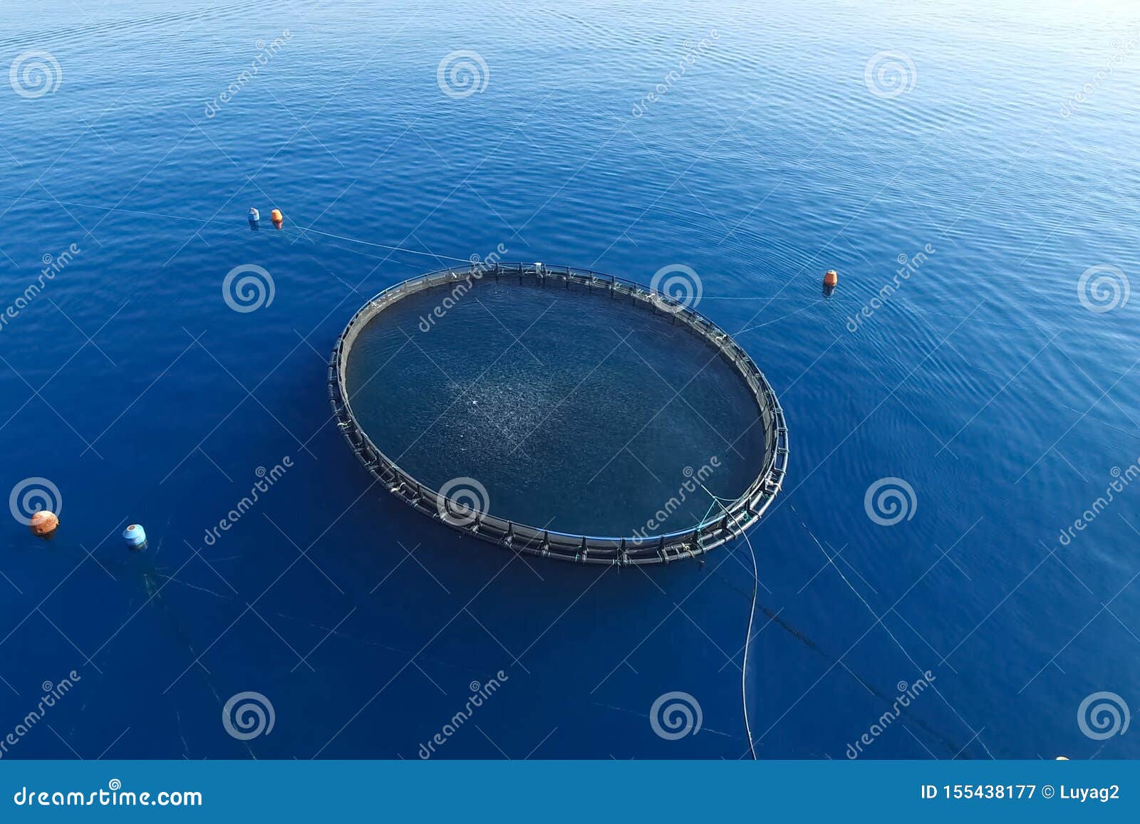 Fish Farm in the Sea, Fenced with Round Net Stock Image - Image of ...