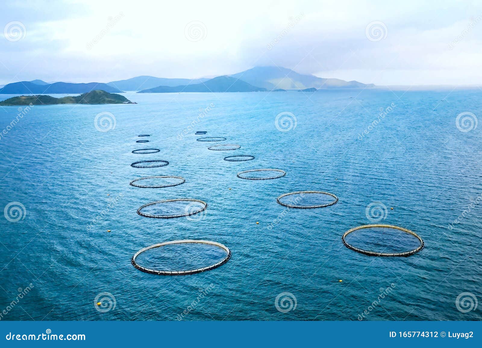 Fish Farm at Sea. Top View of Fish Farm Stock Photo - Image of view ...