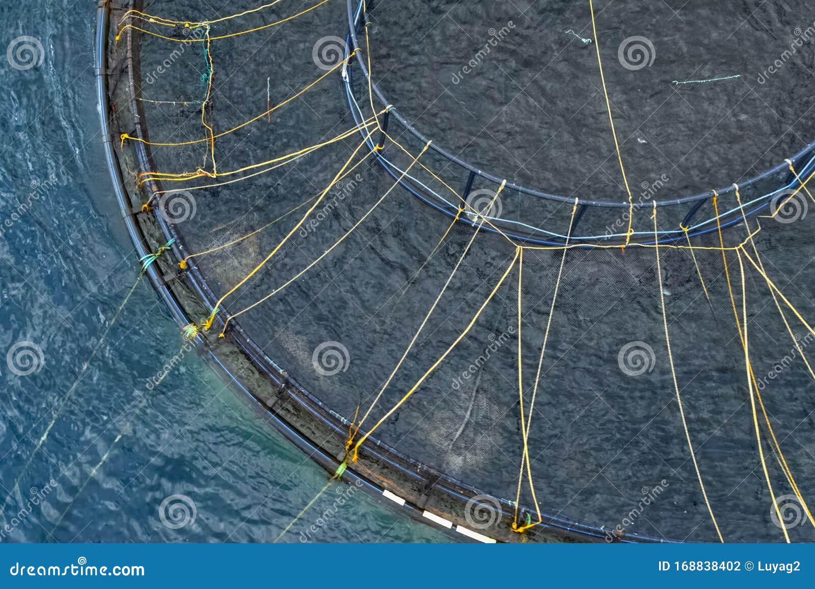 Fish Farm at Sea. Top View of Fish Farm Stock Photo - Image of ...