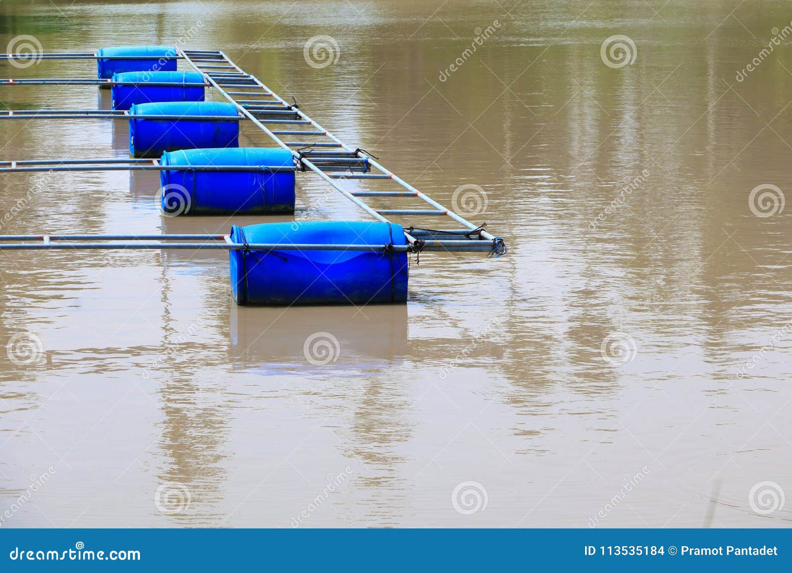 Fish Farm Using the Natural Water Stock Photo - Image of asian ...