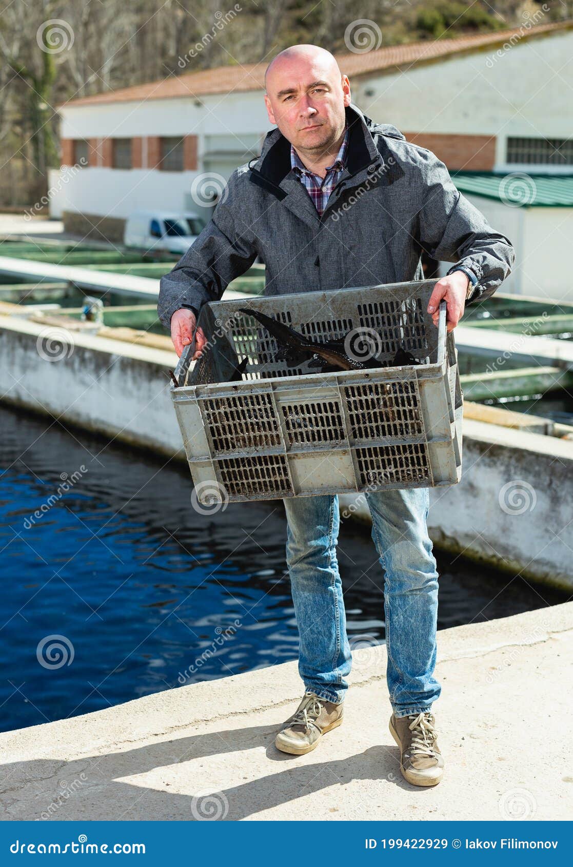 Fish Farmer Holding Sturgeon Stock Image - Image of business, hatchery ...