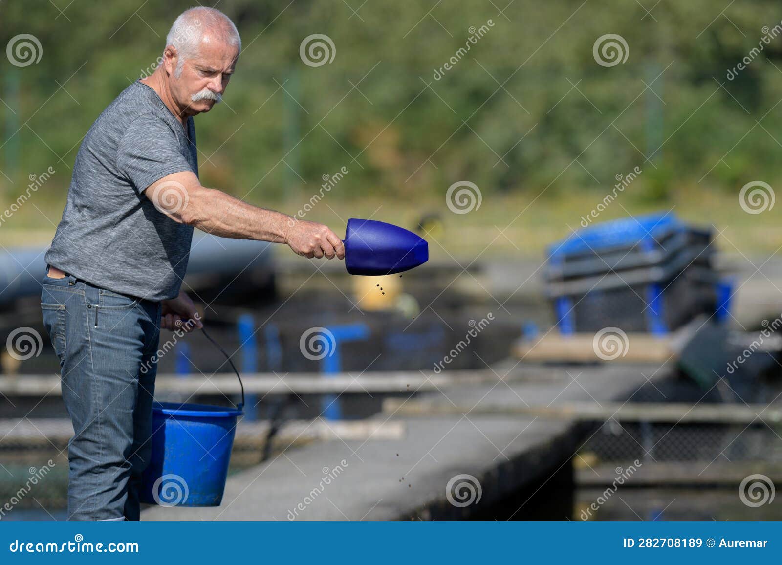 Man Farmer Throwing Timber Into The Firewood Stack At The Sugarcane ...
