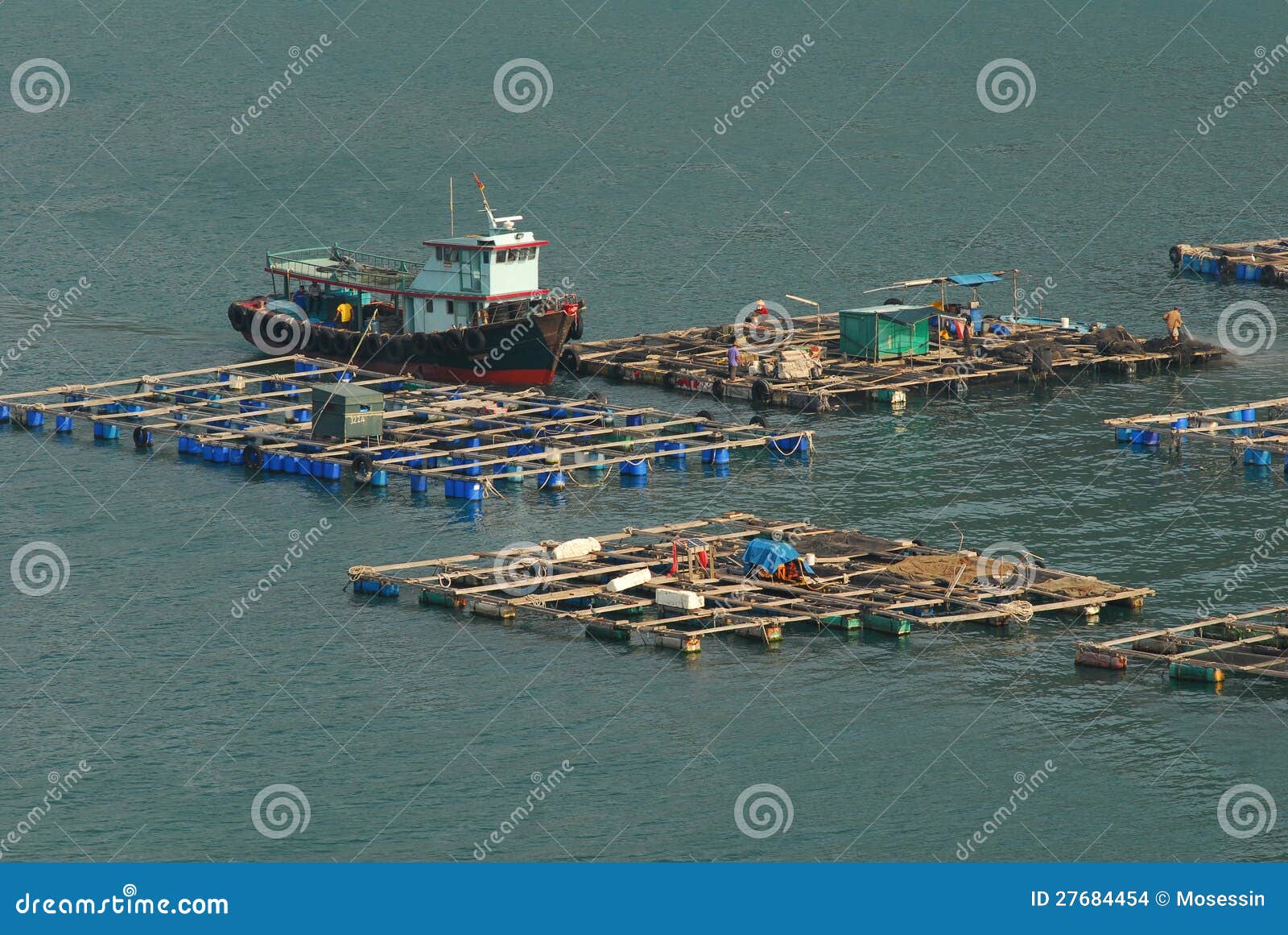 Fish Farming At La Nga River Royalty-Free Stock Photo | CartoonDealer ...