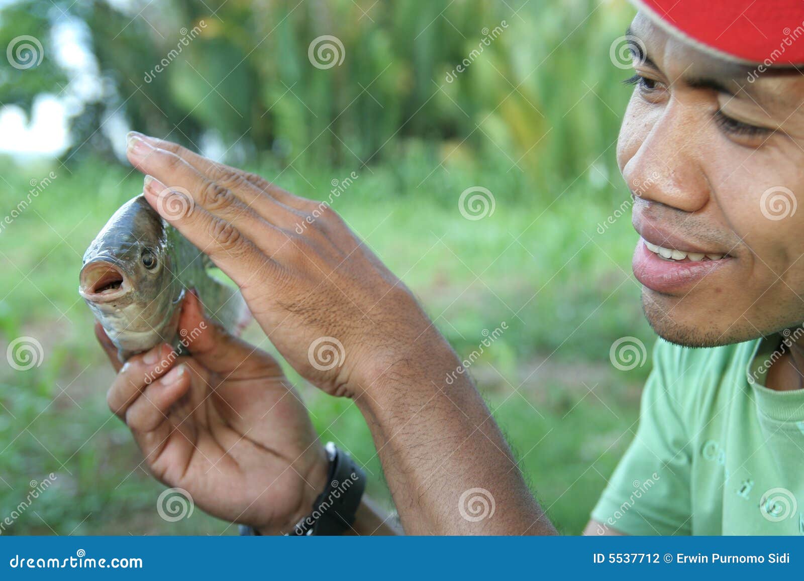 Fish farming stock photo. Image of hatchery, agriculture - 5537712